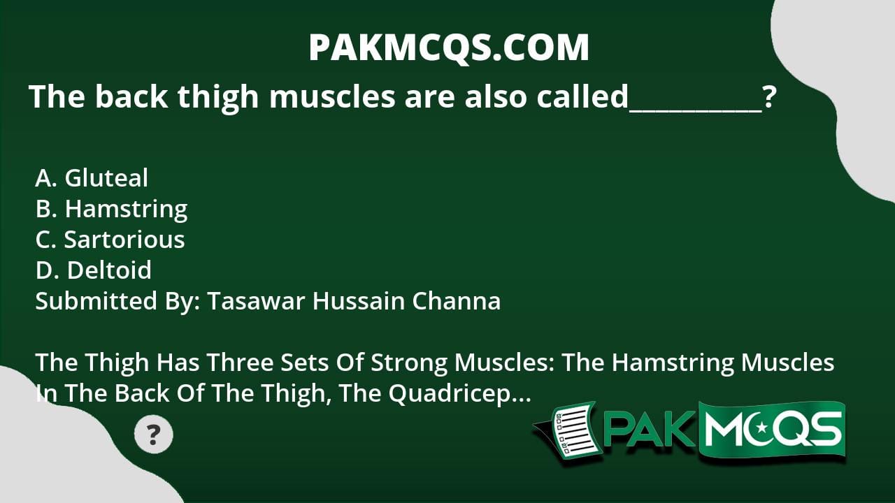 The Back Thigh Muscles Are Also Called PakMcqs the-back-thigh-muscles-are-also-called-pakmcqs