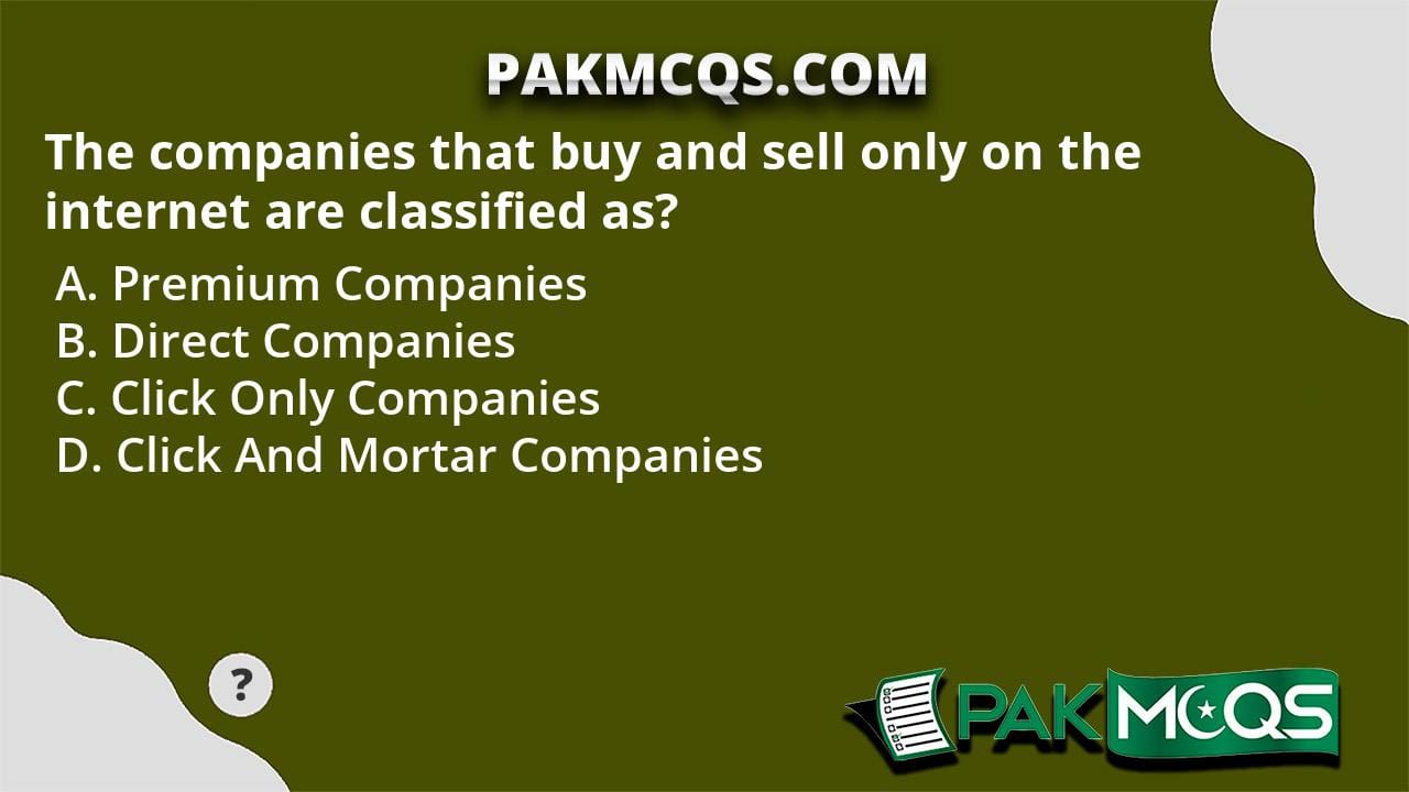 The companies that buy and sell only on the internet are classified as ...